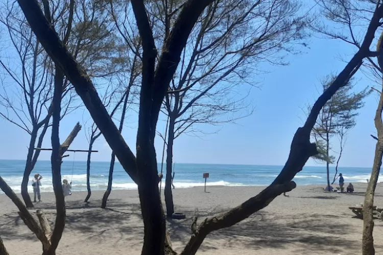 Keindahan Tersembunyi di Pantai Cangkring Bantul - XPLORE