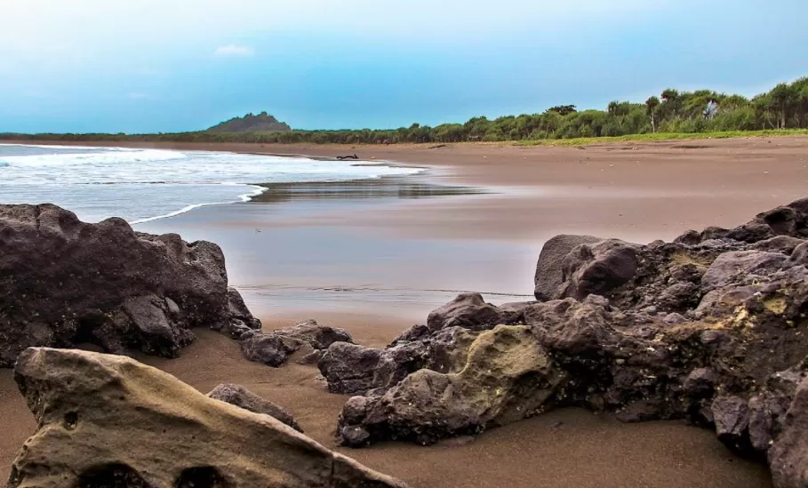 Menjelajahi Keindahan Pantai Rowo Cangak Jember - XPLORE